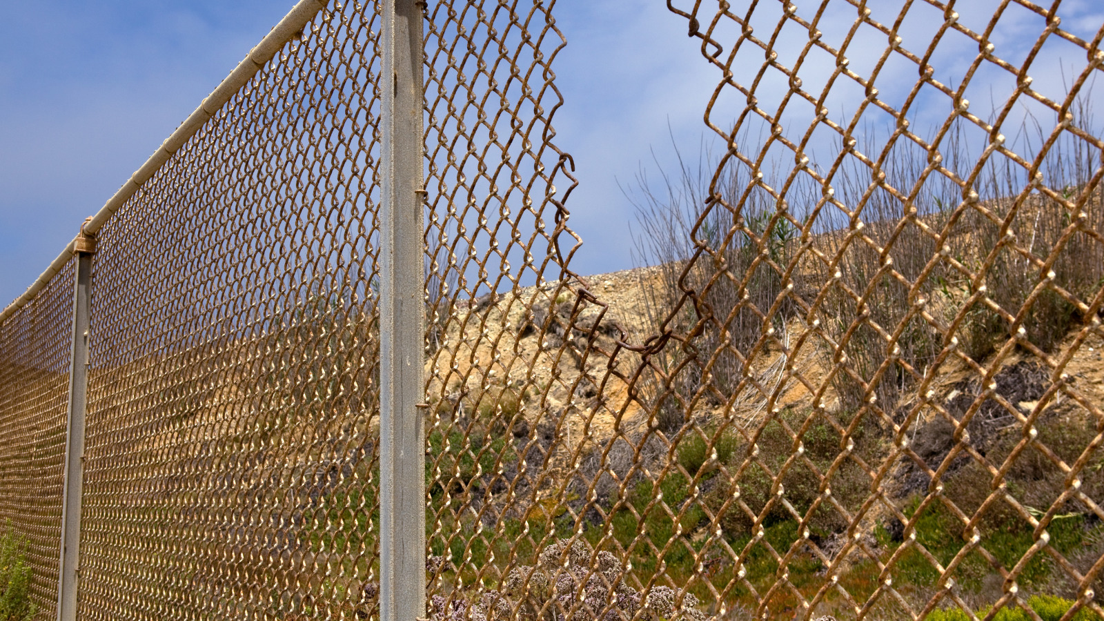 When it Comes to Security, Do You Know How Exposed You Are? | Surveil