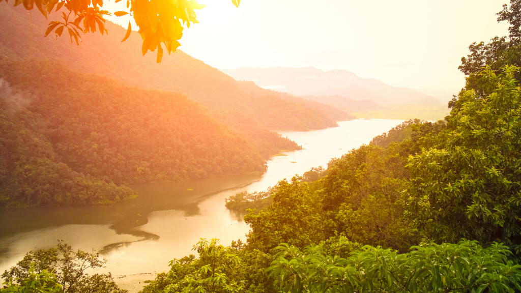 Surveil Announces Strategic Partnership with NCC Group | Surveil