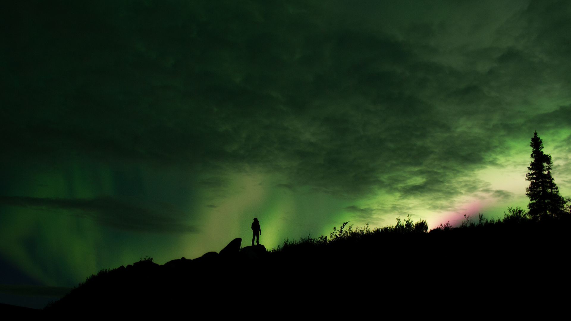 Surveil Champion Introduction | Surveil