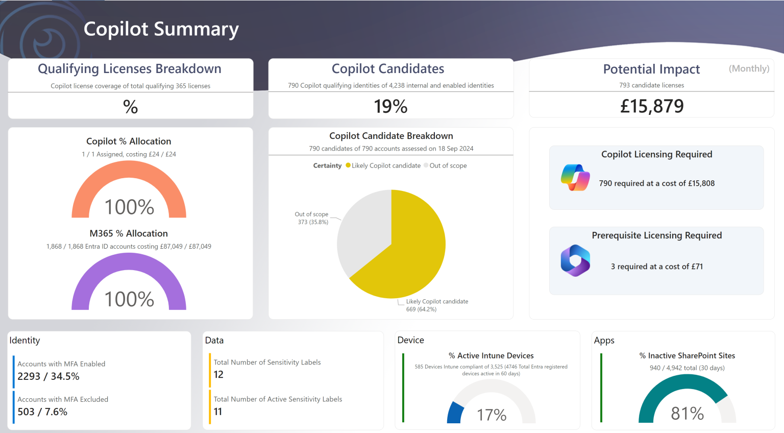 Copilot Adoption Journey | Surveil