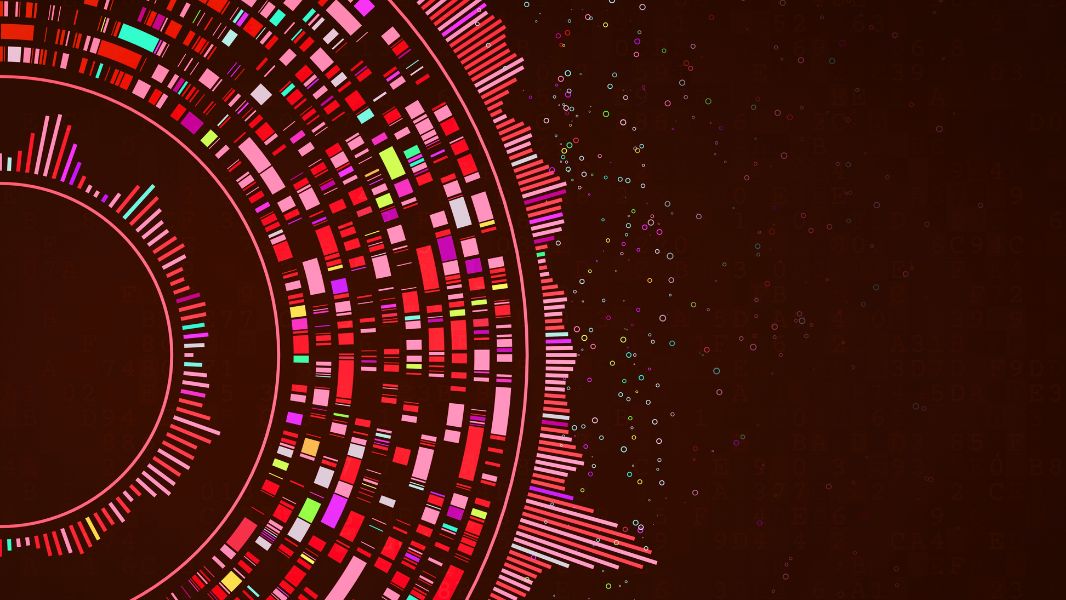 Licensing Management Reimagined: Optimization Strategy | Surveil